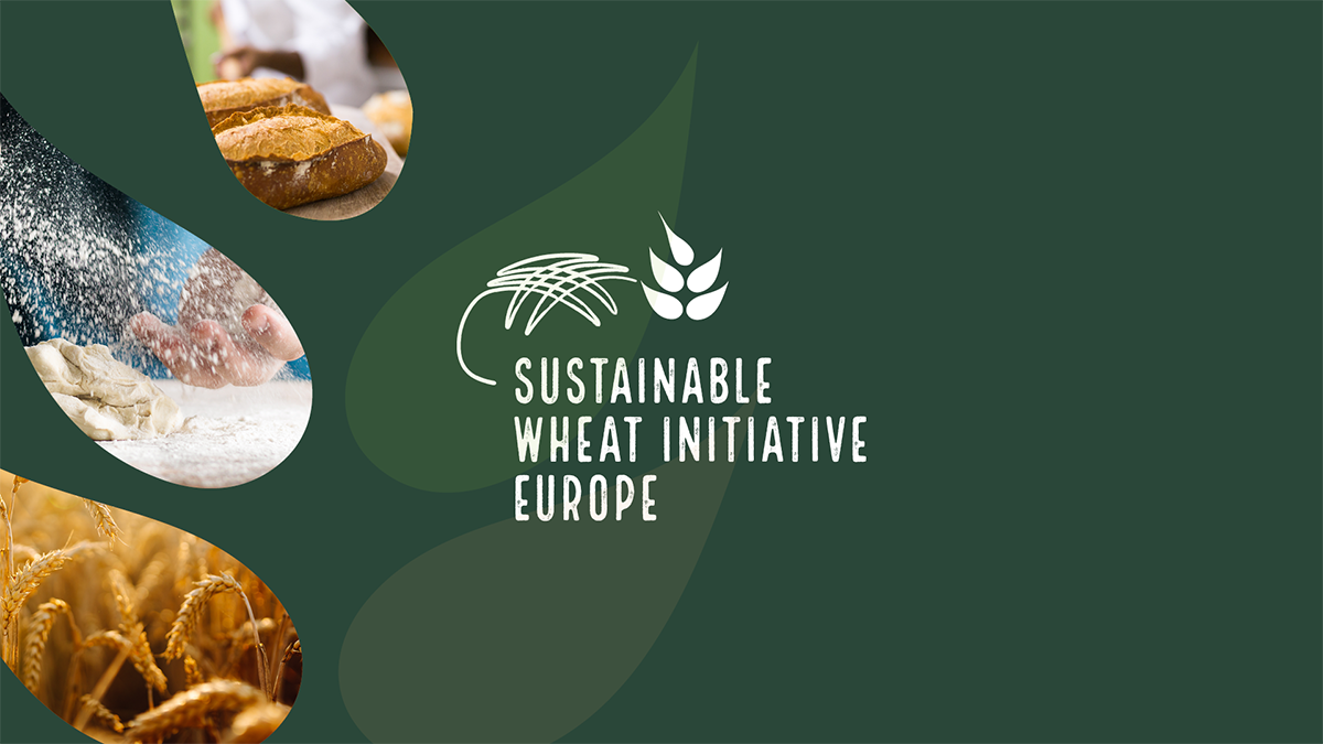 Sustainable Wheat Initiative Europe